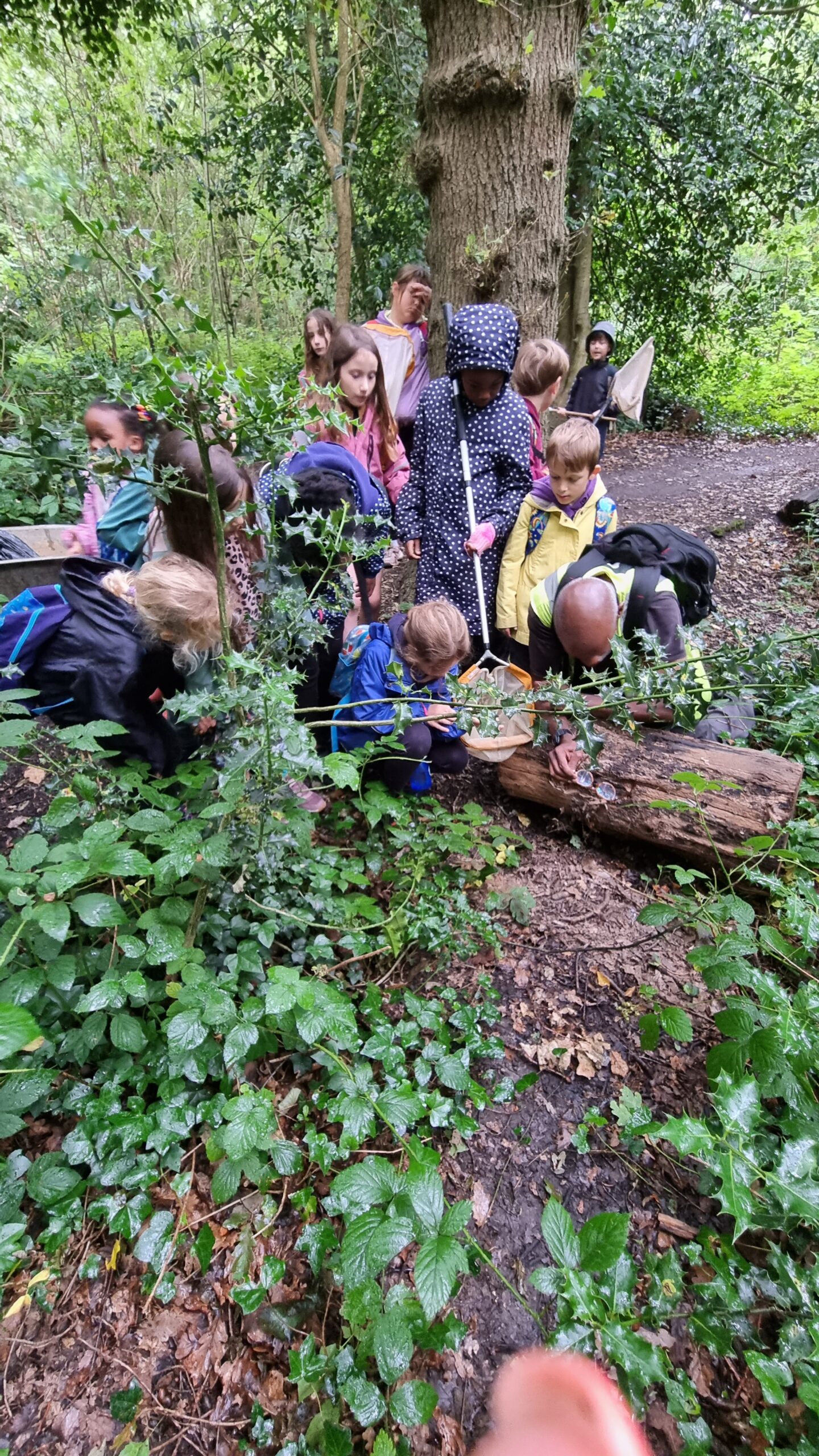 Gallery - Orokolo Holiday Clubs